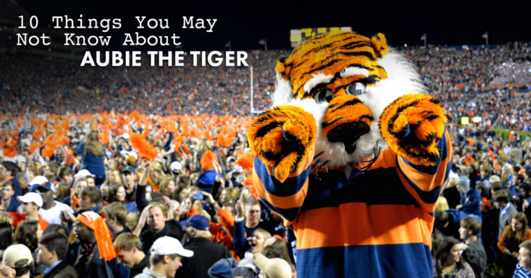 10 Things You May Not Know About Aubie the Tiger - Ryan Roberts Realtor